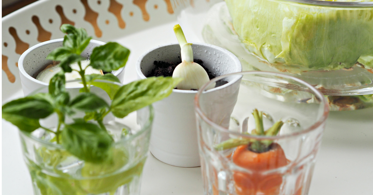 Come piantare le verdure utili | MomentoCasa